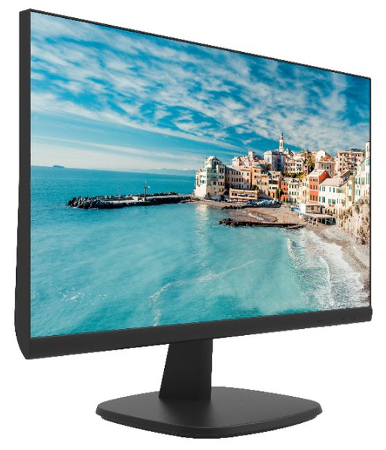 DS-D5024FN/EU - 23,8 " FHD Monitor | Slovak Alarms